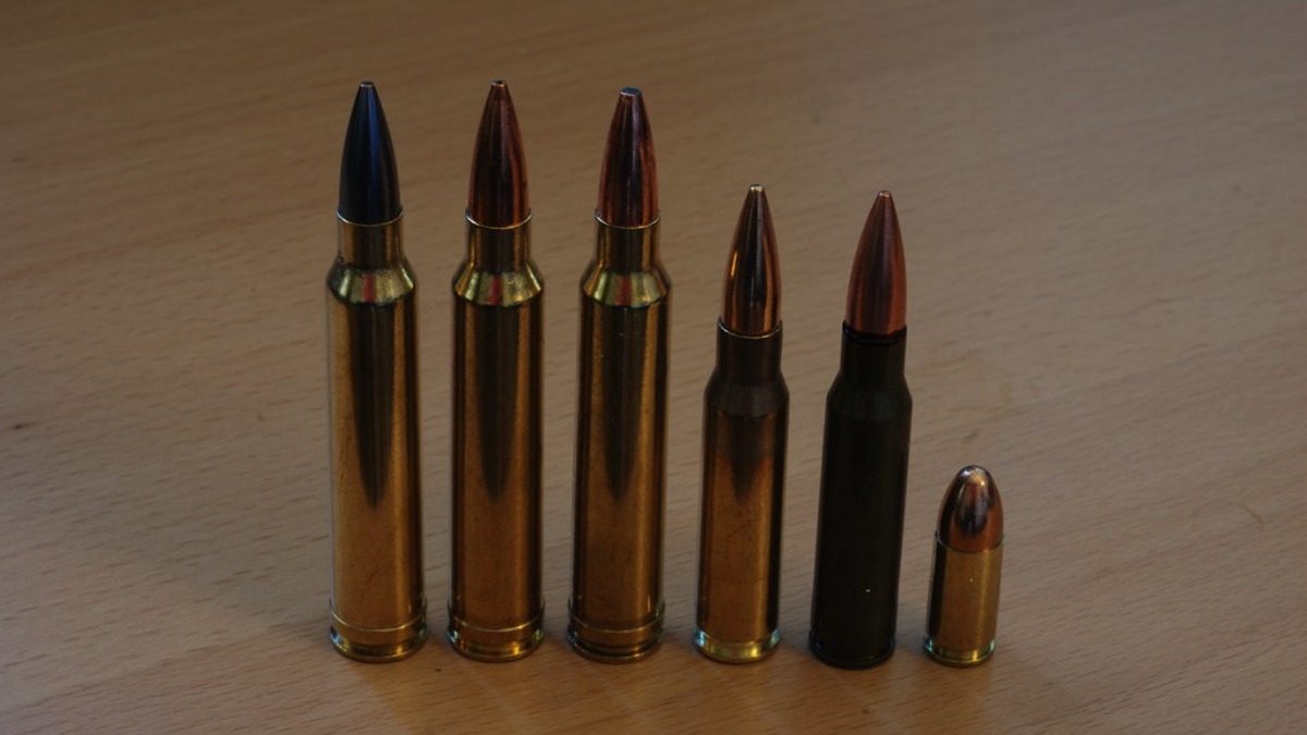 Colorado Reddit user says a neighbor accidentally shot a hunting rifle ...